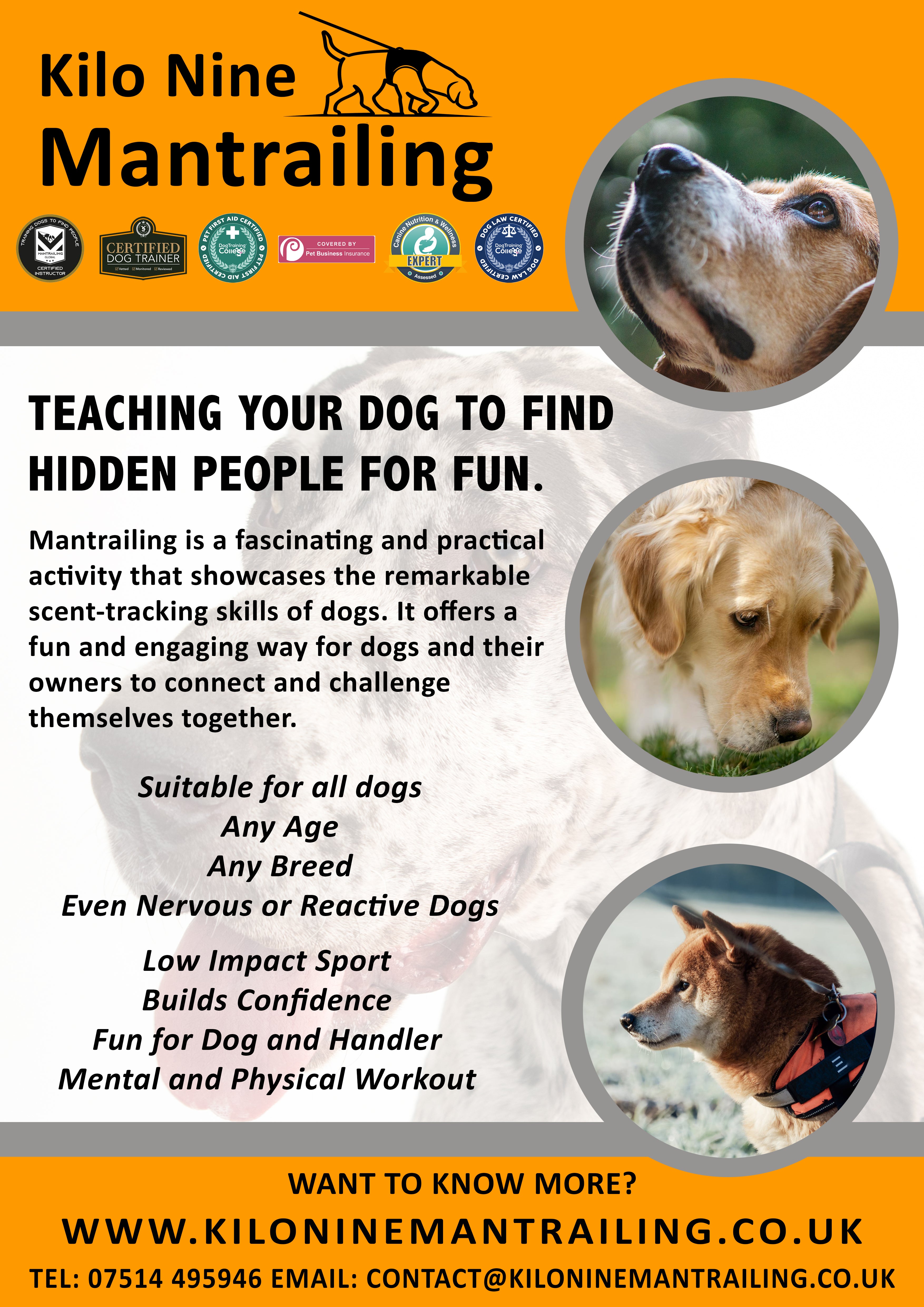 Mantrailing in Wolverhampton and Walsall. – Kilo Nine Mantrailing