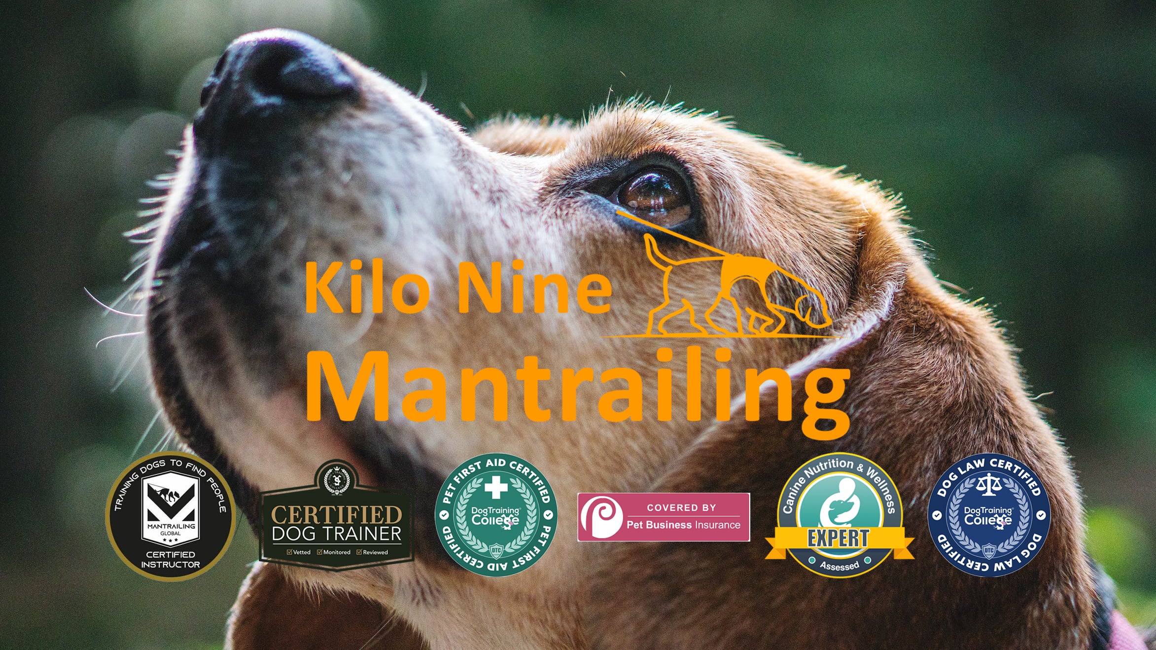 Mantrailing in Wolverhampton and Walsall. – Kilo Nine Mantrailing