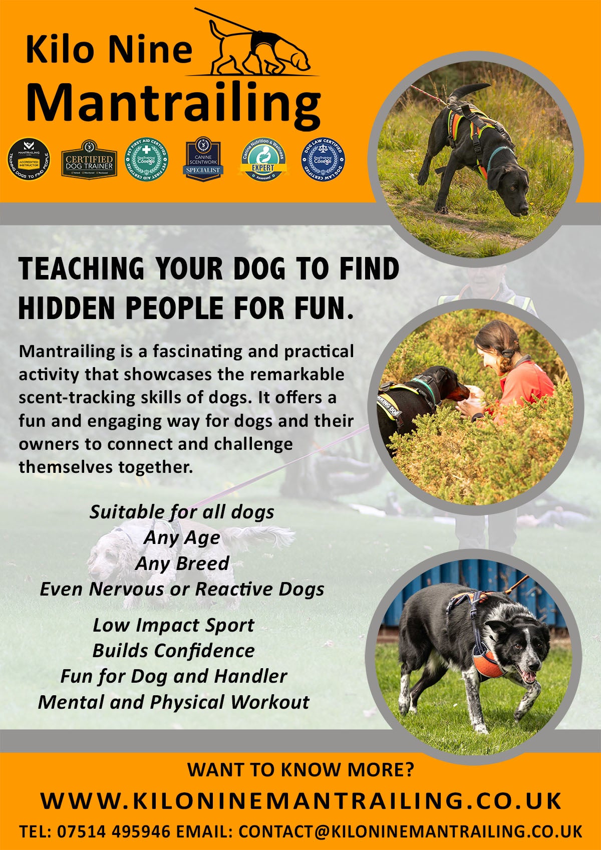 Mantrailing in Wolverhampton and Walsall. – Kilo Nine Mantrailing